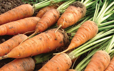 Home-grown fruit & veg is back on the menu