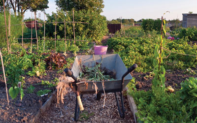 National Allotment Week – A plot for all ages
