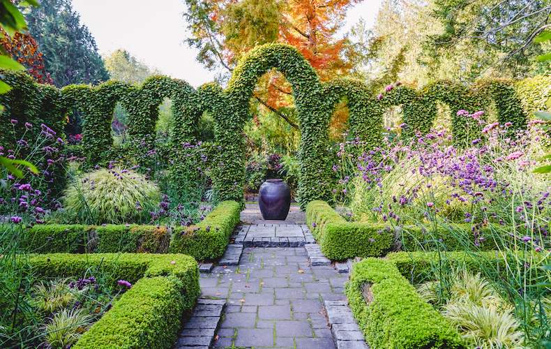 Top 5 favourite hedges| Thompson & Morgan Blog