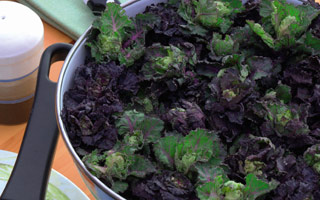 “Kalettes” the Ghosts of Christmas past? | Blog at Thompson & Morgan