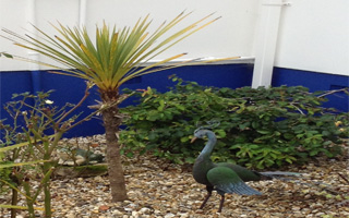 Amanda's January Gardening Update