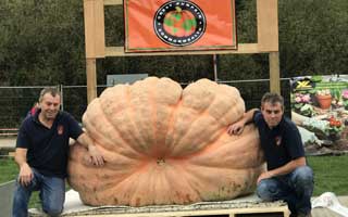 Pumpkin twins’ giant beats their own record!