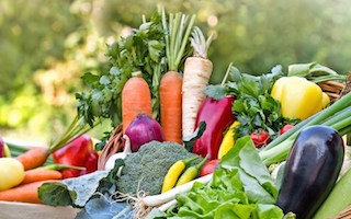 13 vibrant veg growing blogs