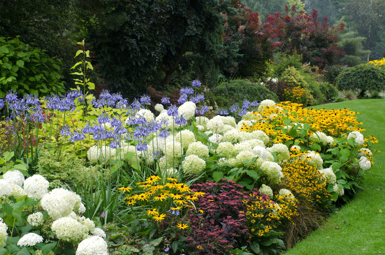 Tips for growing flowers in your garden