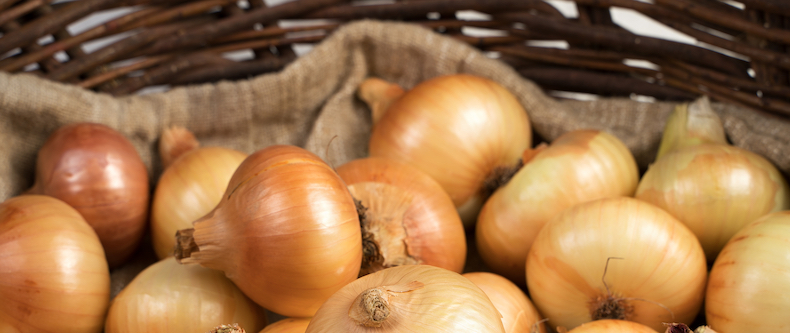 Onions masterclass: best expert content