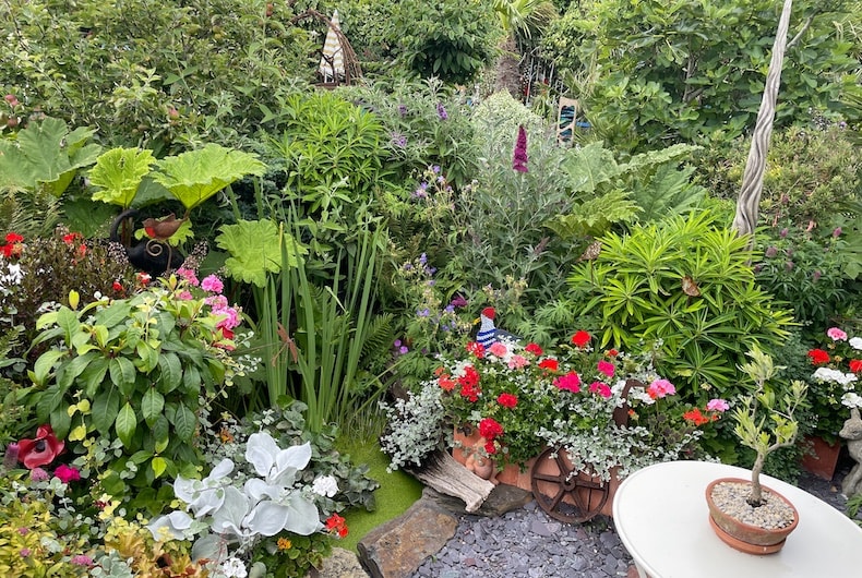 A drought-tolerant redesign for Driftwood Garden | Thompson & Morgan Blog