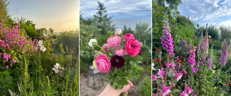 Featured Gardener: Lizzie Schofield | Thompson & Morgan Blog