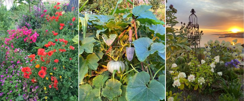 Featured Gardener: Lizzie Schofield | Thompson & Morgan Blog