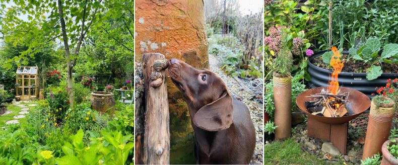 Featured Gardener: Kay Maynard | Thompson & Morgan Blog