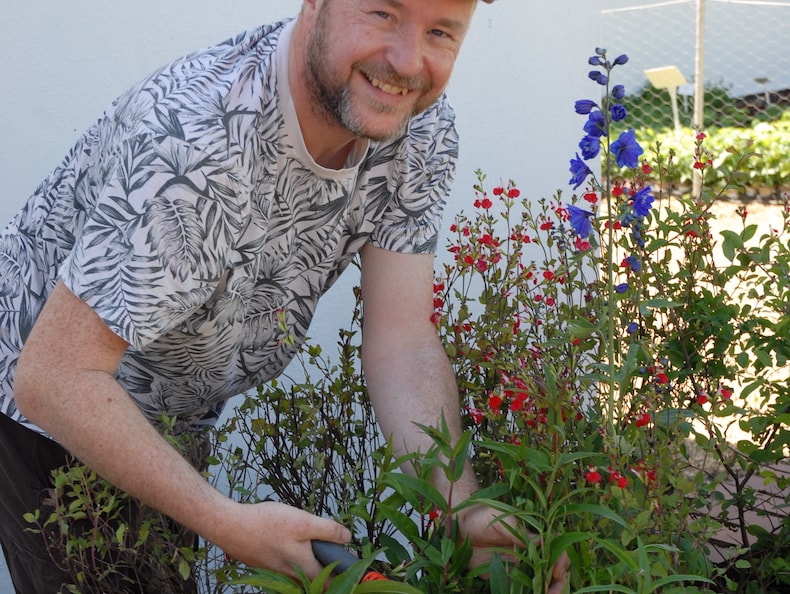 Which plants benefit from the Chelsea Chop?