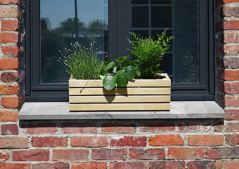 How to choose the best pots for container gardening