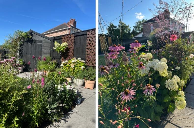 Featured Gardener: Sammy Stringer