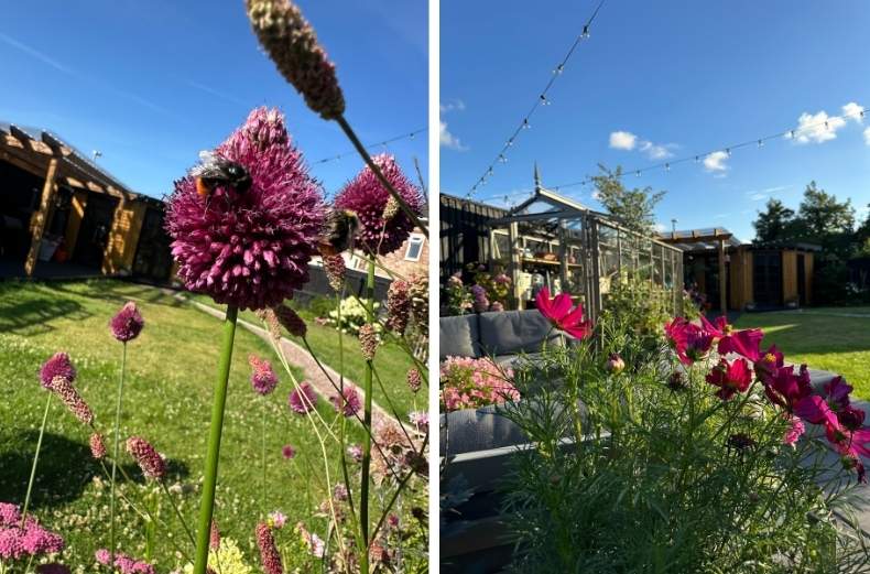 Featured Gardener: Sammy Stringer