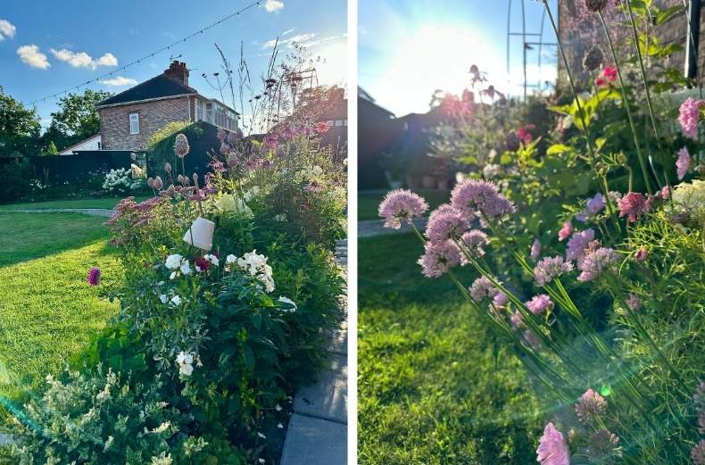Featured Gardener: Sammy Stringer