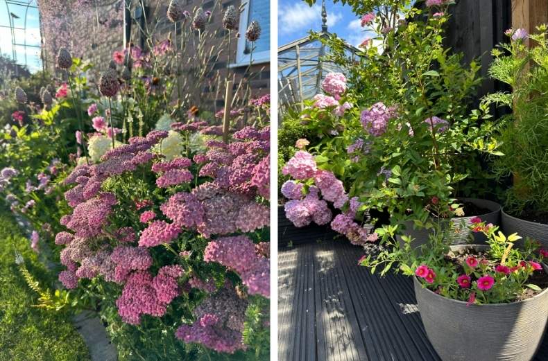 Featured Gardener: Sammy Stringer